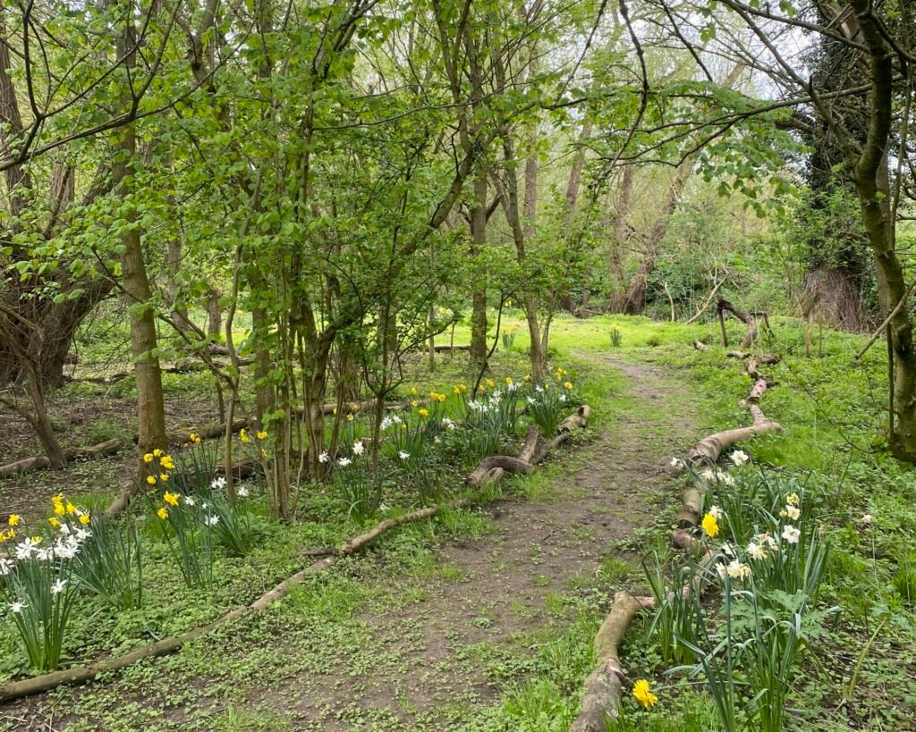 the-gibberd-garden – Be inspired by nature